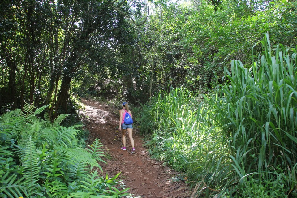 #40Trails No. 7: Pu‘u Mā‘eli‘eli Trail in Temple Valley | The Cat Dish